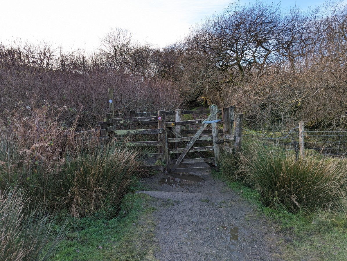 Cadover Bridge - National Trust | AccessAble