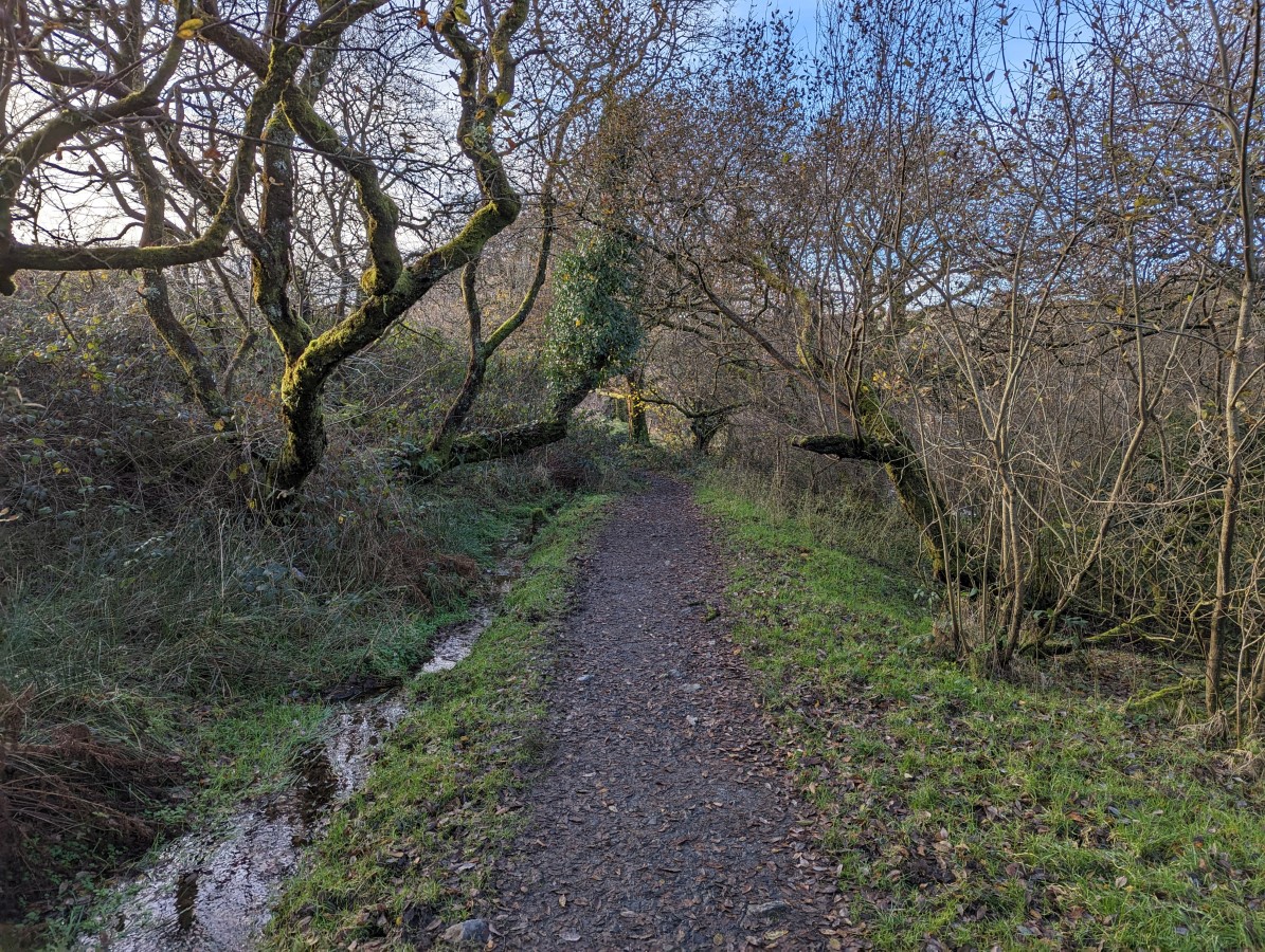 Cadover Bridge - National Trust | AccessAble