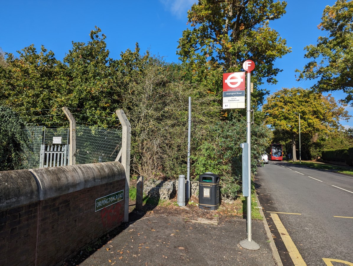 Petts Wood and Hawkwood - National Trust | AccessAble