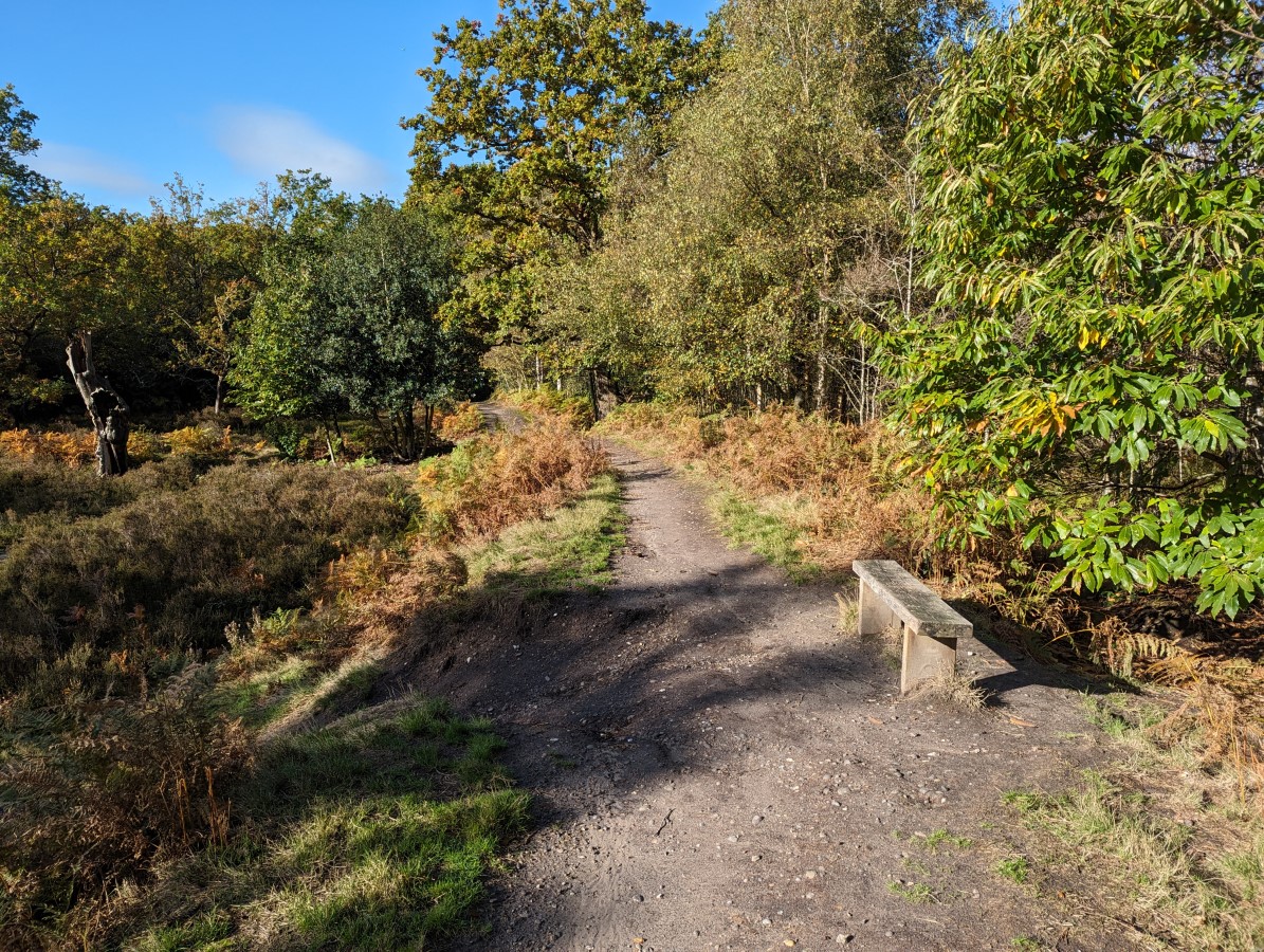 Petts Wood and Hawkwood - National Trust | AccessAble
