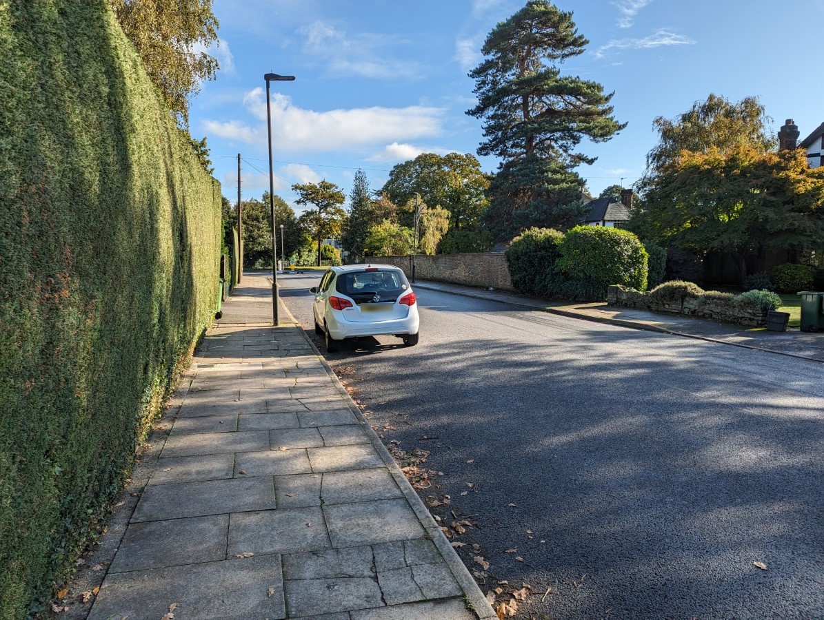 Petts Wood and Hawkwood - National Trust | AccessAble