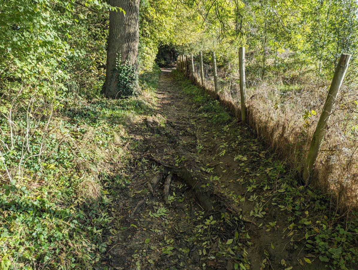 Petts Wood and Hawkwood - National Trust | AccessAble