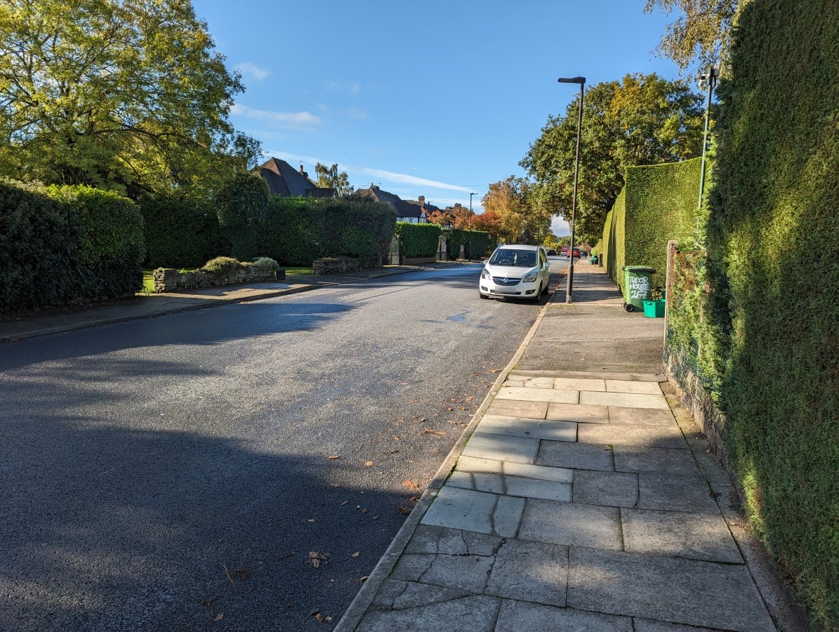 Petts Wood and Hawkwood - National Trust | AccessAble