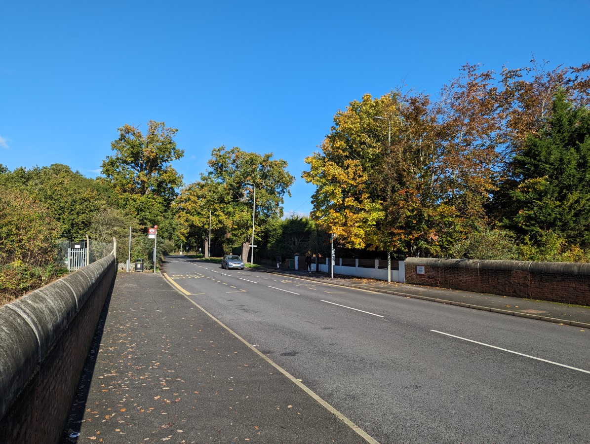 Petts Wood and Hawkwood - National Trust | AccessAble