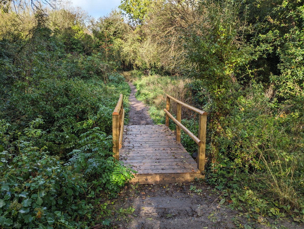 Petts Wood and Hawkwood - National Trust | AccessAble