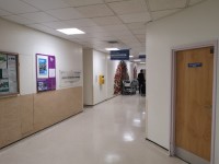 Rose Ward | AccessAble