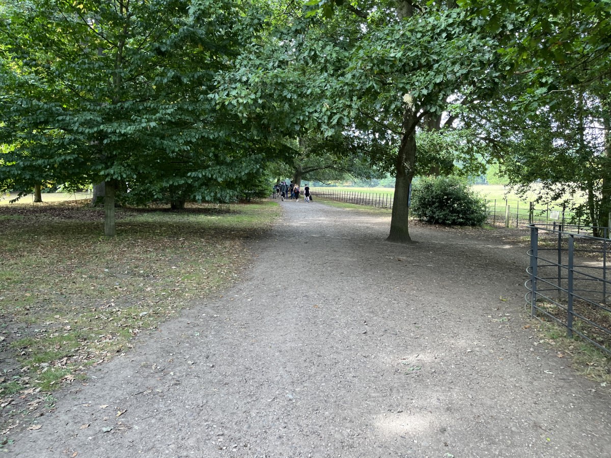 Attingham Park - Pleasure Grounds | AccessAble