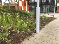NTU City Campus Bus Stop G1 to Chaucer Reception | AccessAble