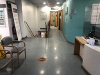 33 Queen Square | AccessAble