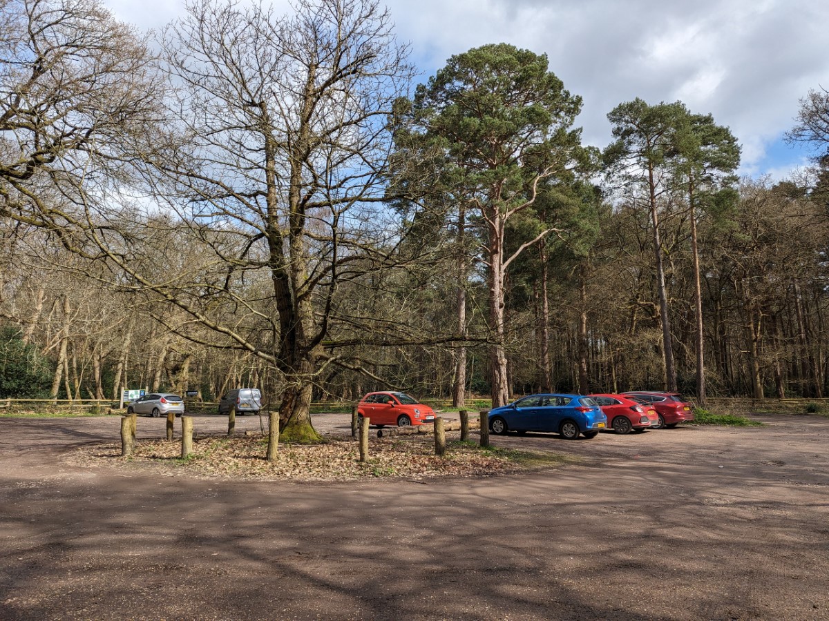 Finchampstead Ridges - National Trust | AccessAble