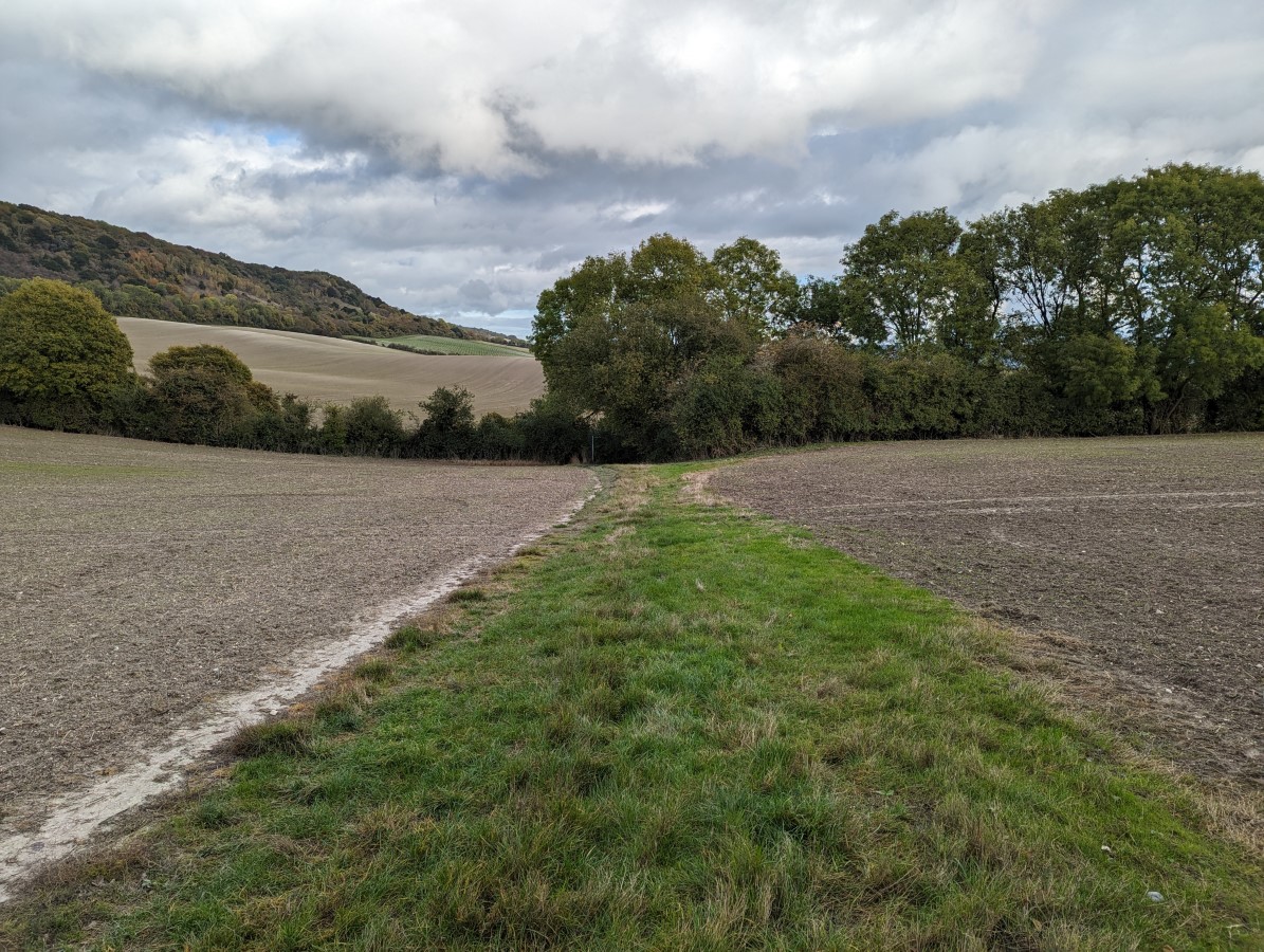 Coldrum Long Barrow - National Trust | AccessAble
