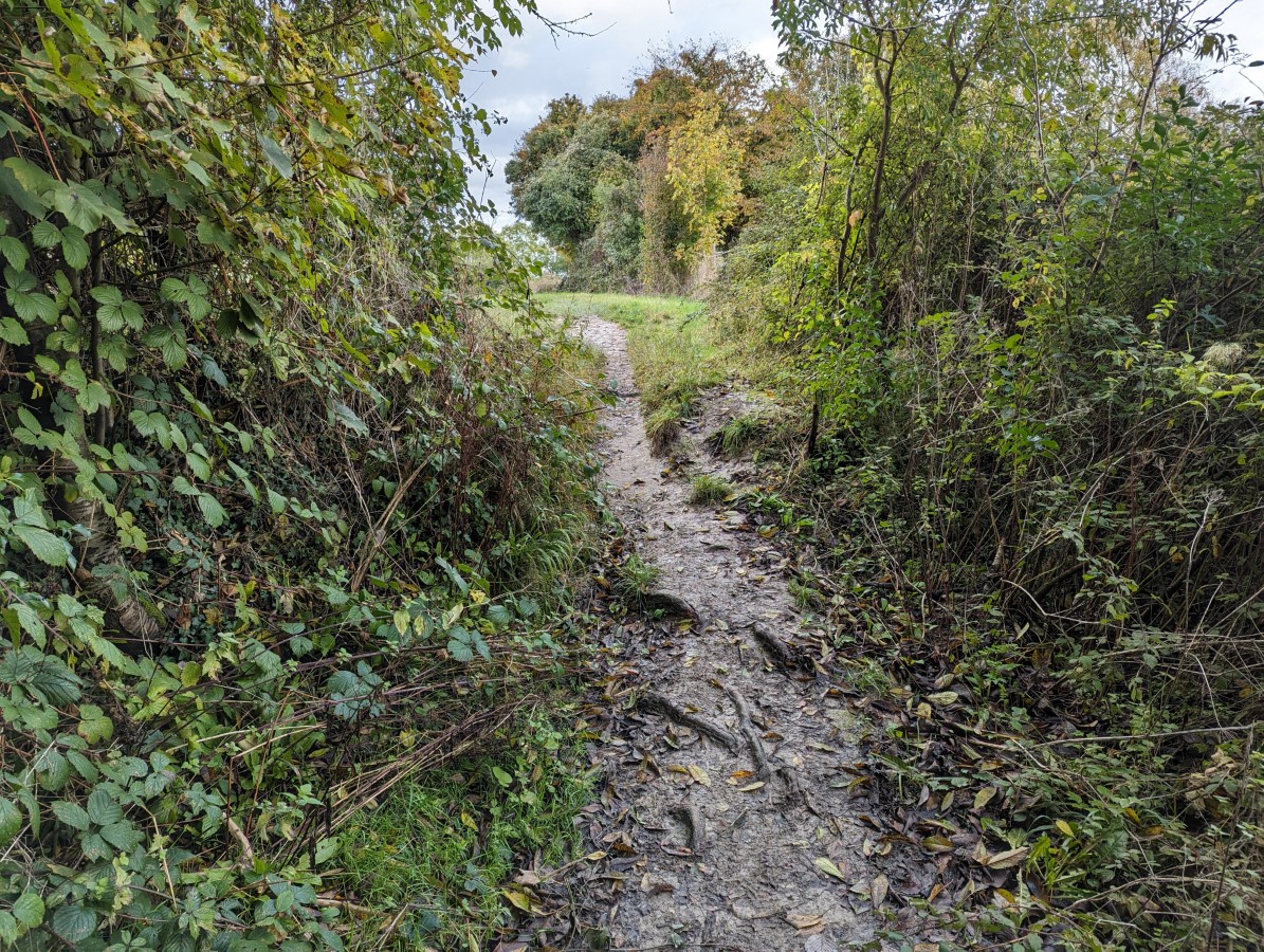 Coldrum Long Barrow - National Trust | AccessAble
