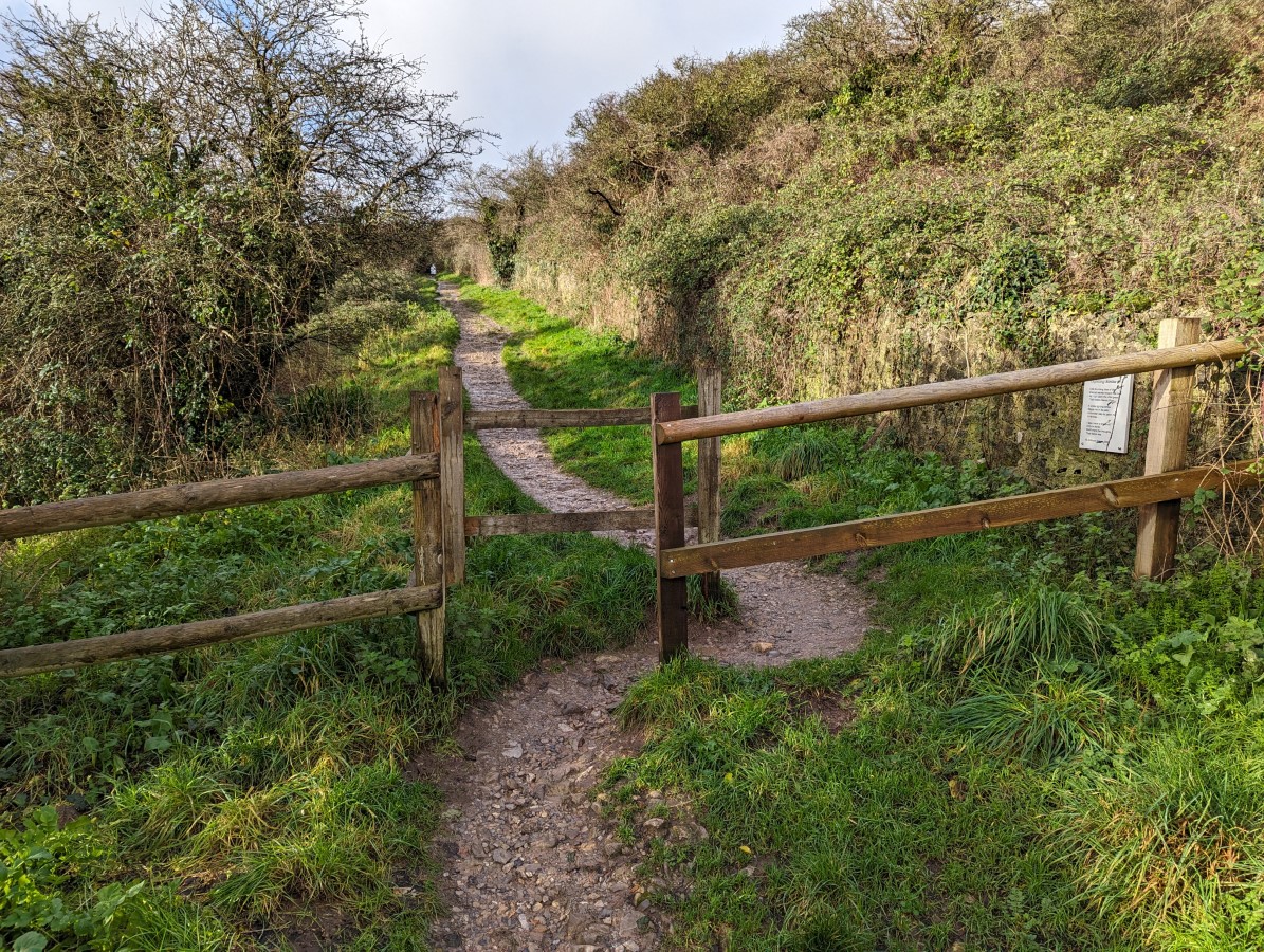 Sand Point - National Trust | AccessAble