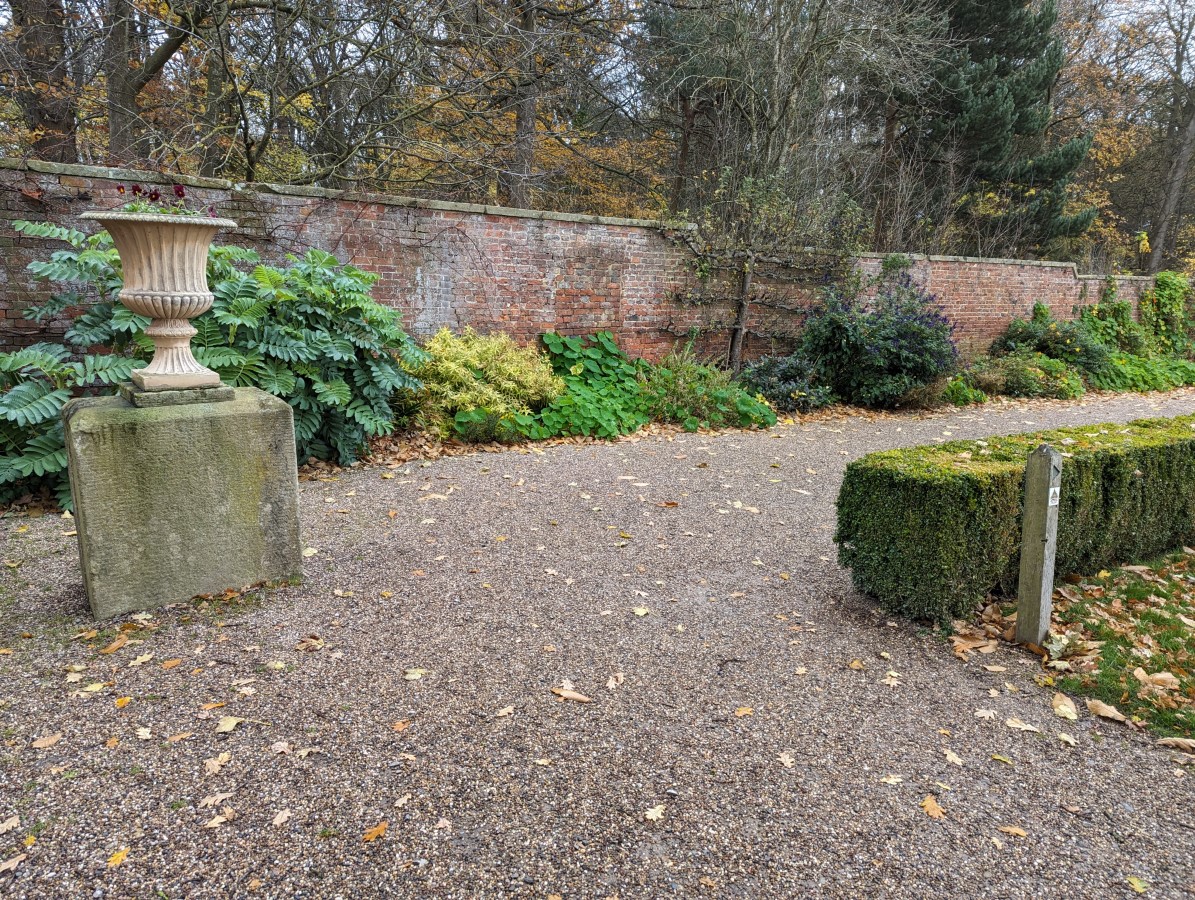 Erddig - Wolf's Den | AccessAble