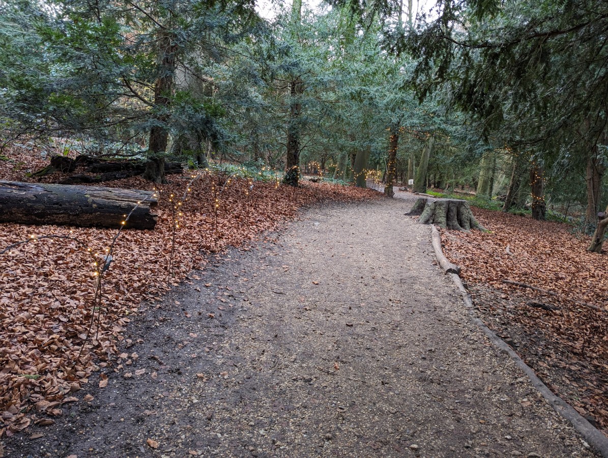 Basildon Park - House | AccessAble