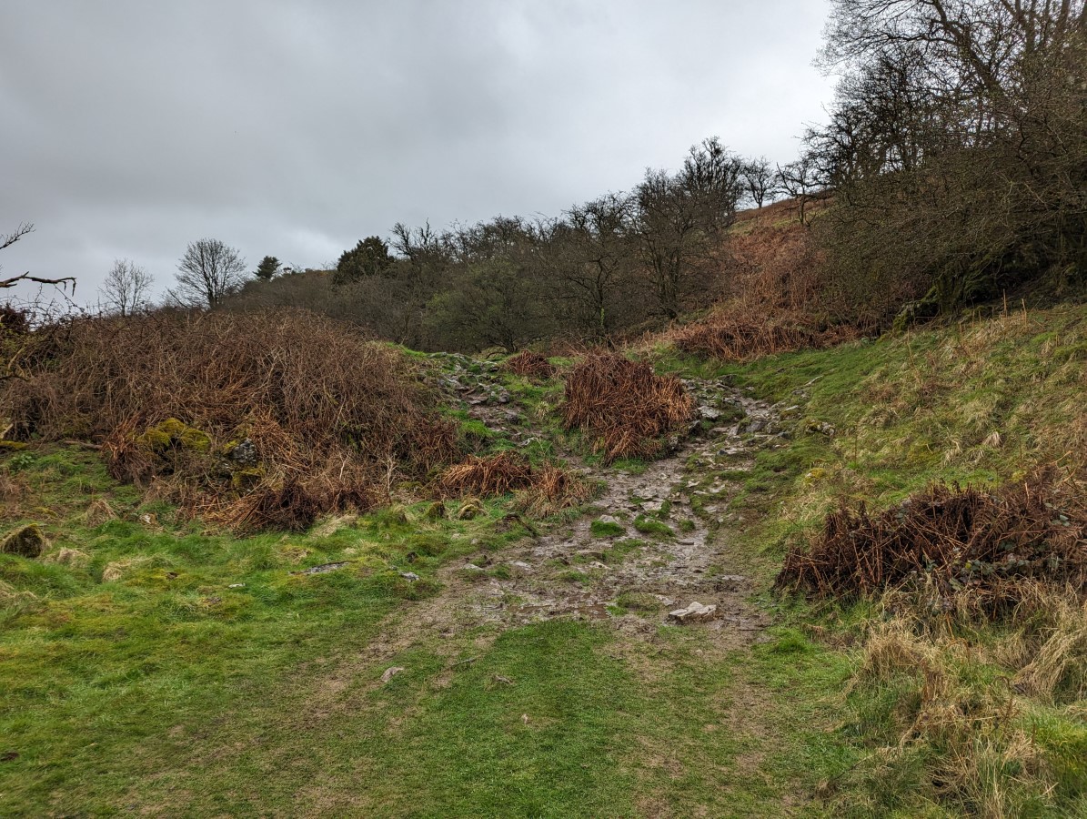 Cheddar Gorge - National Trust | AccessAble