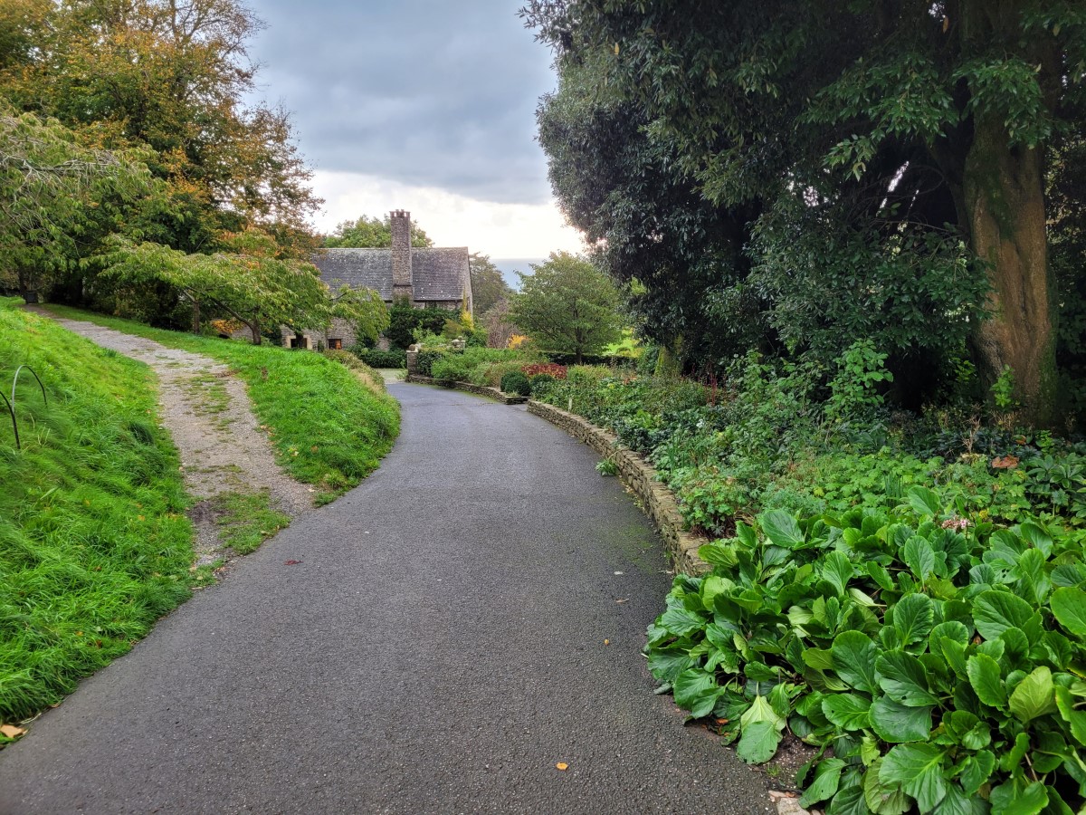 Coleton Fishacre - Garden | AccessAble