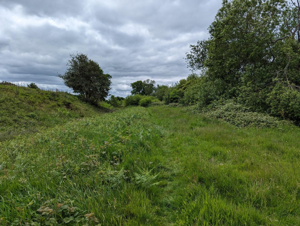 Dumpdon Hill Fort - National Trust | AccessAble