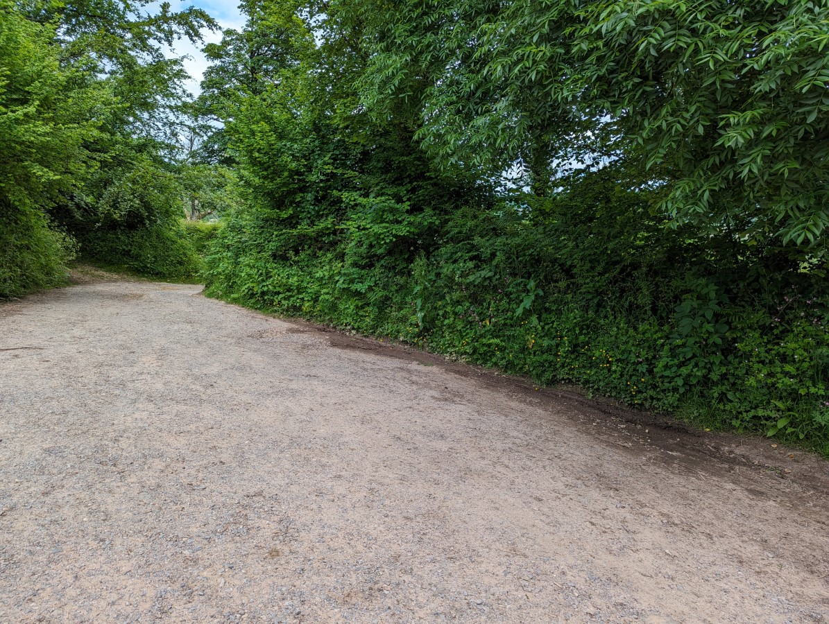 Dumpdon Hill Fort - National Trust | AccessAble