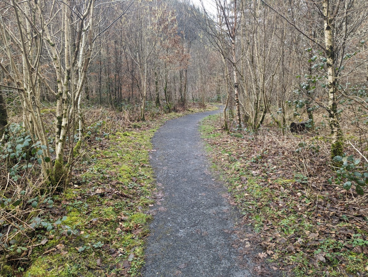 Hafod Estate - Countryside | AccessAble