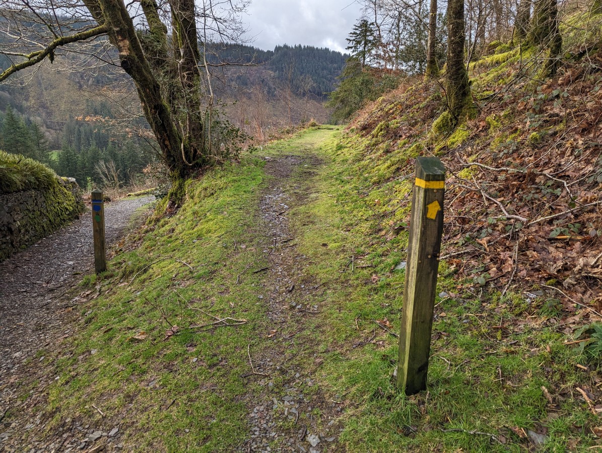 Hafod Estate - Countryside | AccessAble