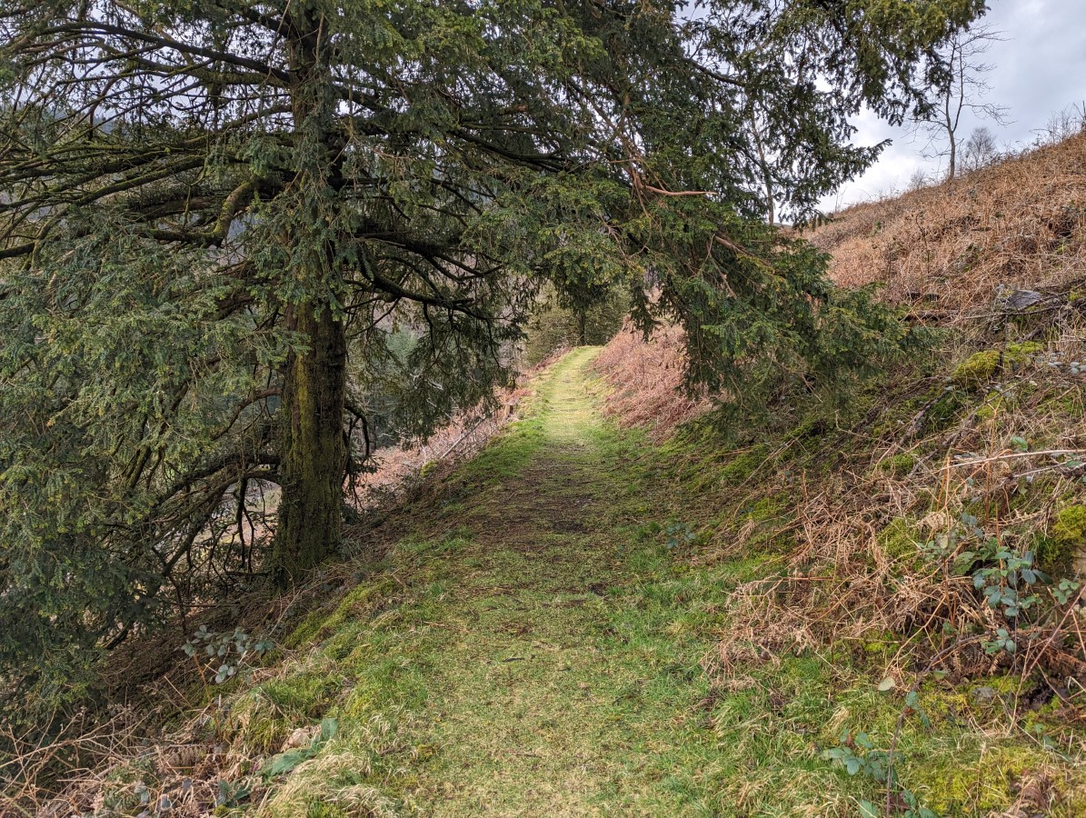 Hafod Estate - Countryside | AccessAble