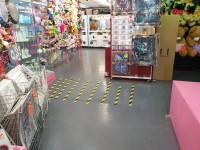 The Original Blackpool Rock Factory | AccessAble