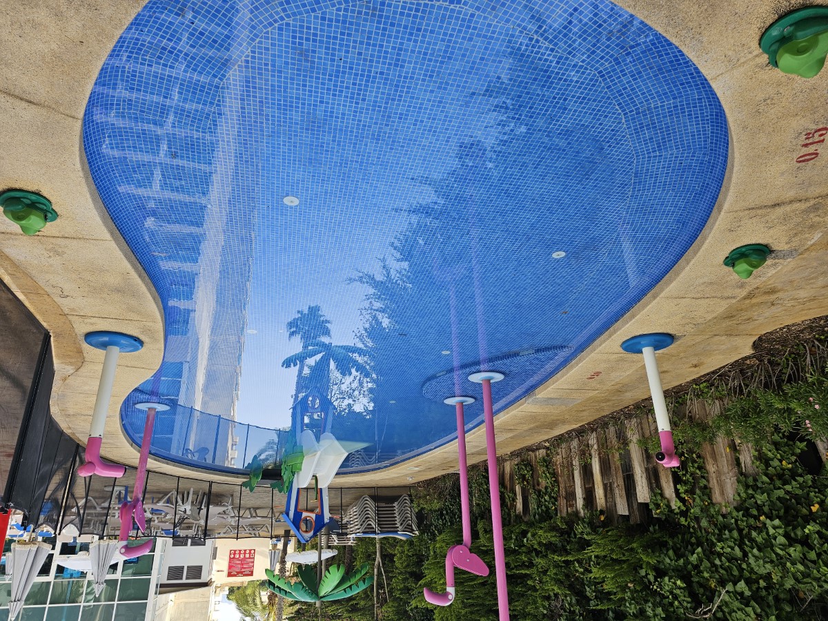 Hotel Flamingo Oasis - Outdoor Pool | AccessAble