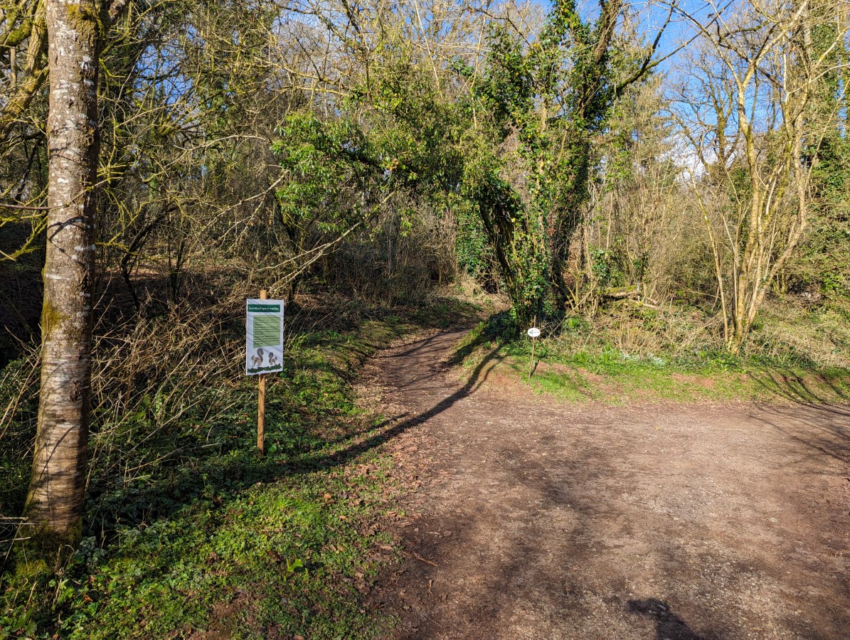 Fyne Court - Estate | AccessAble