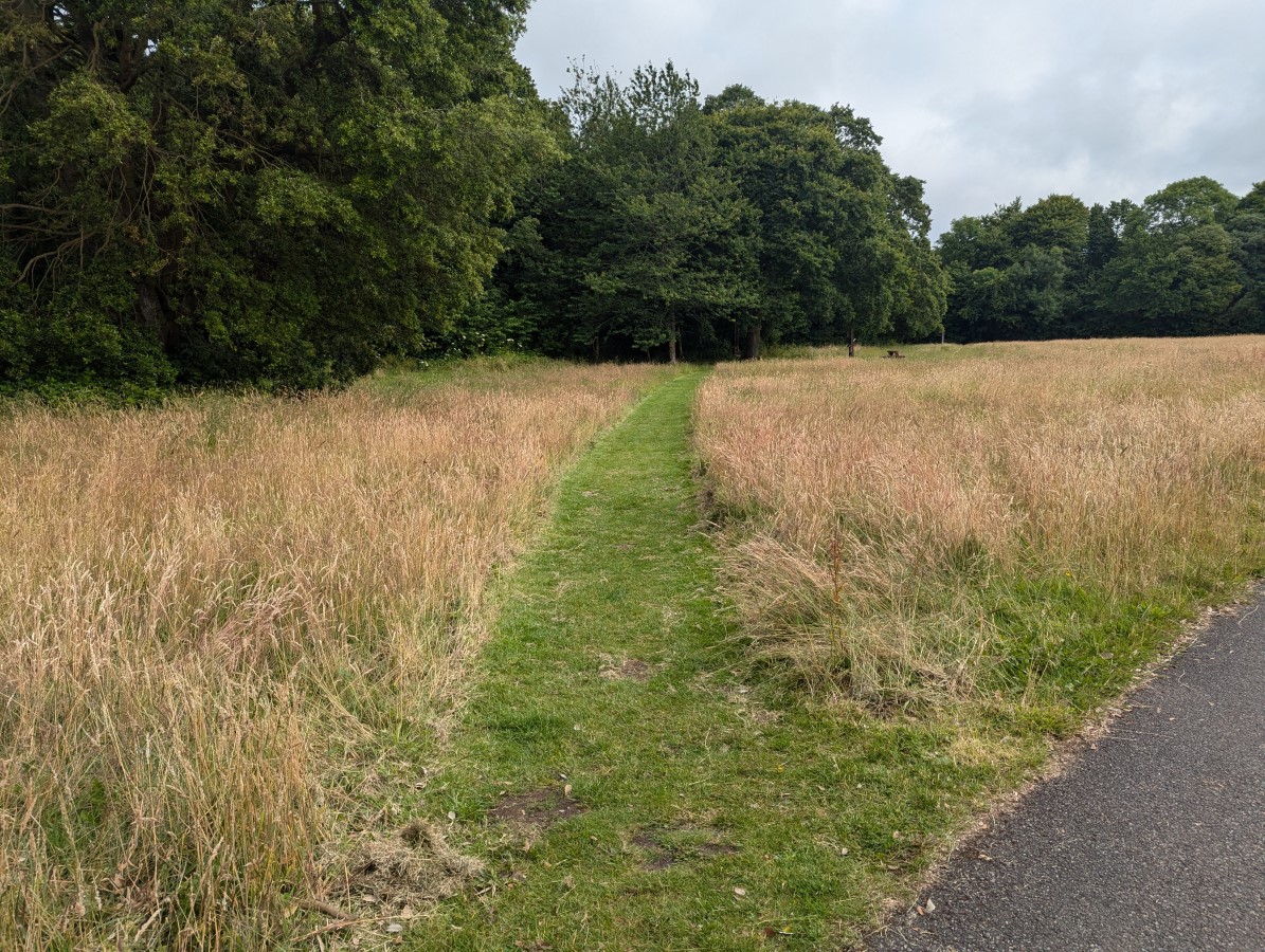 Stackpole Estate - Stackpole Court | AccessAble