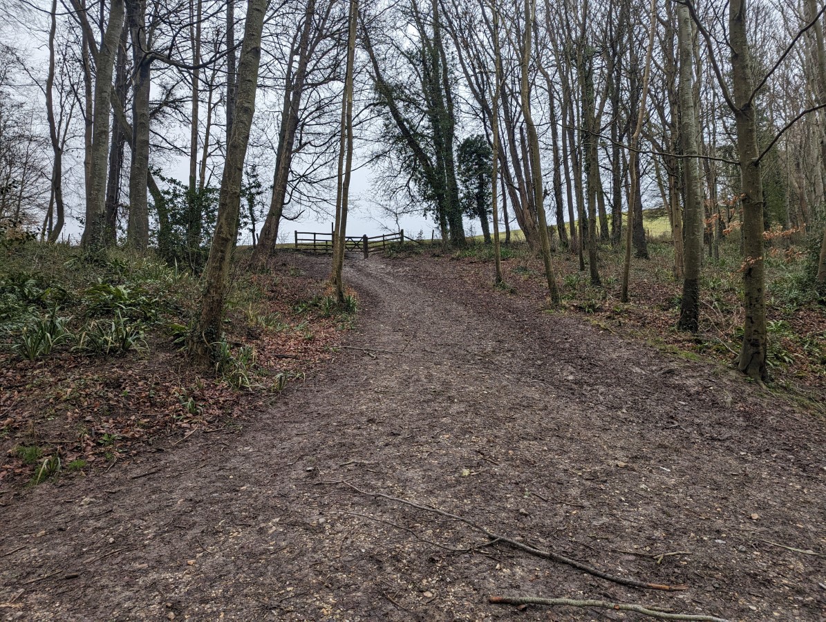 Hod Hill - National Trust | AccessAble