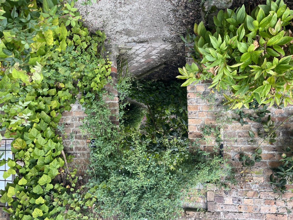 Benthall Hall - Rose Garden | AccessAble