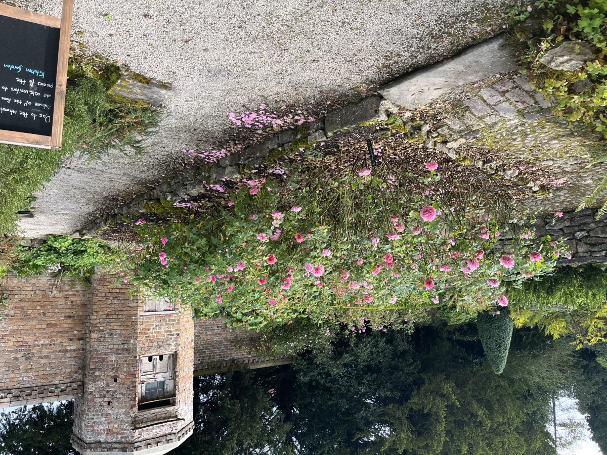 Benthall Hall - Rose Garden | AccessAble