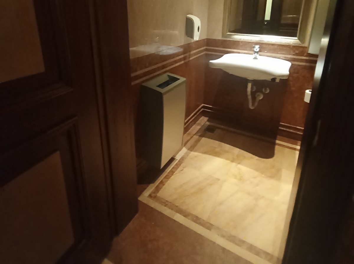 TUI BLUE Sensatori Atlantica Caldera Palace - Toilets with Adaptations ...