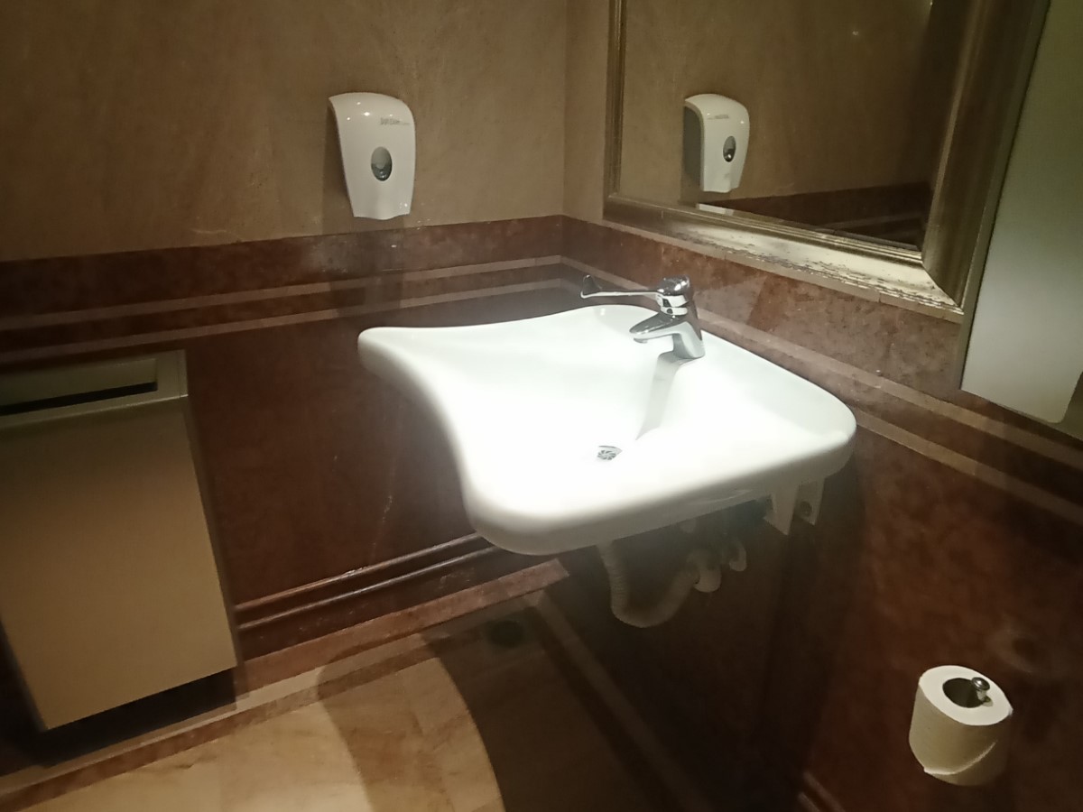 TUI BLUE Sensatori Atlantica Caldera Palace - Toilets with Adaptations ...