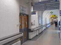 Maple Suite | AccessAble