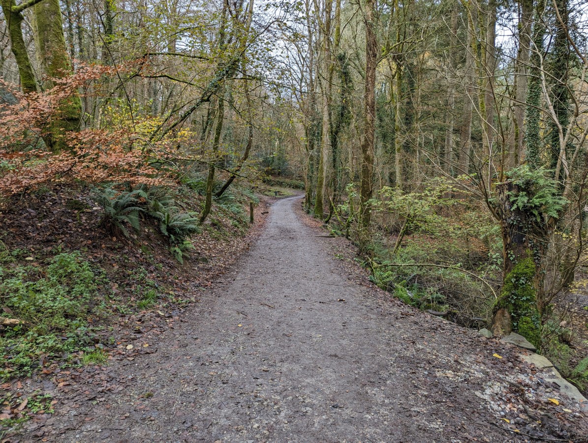 Plymbridge Woods - National Trust | AccessAble