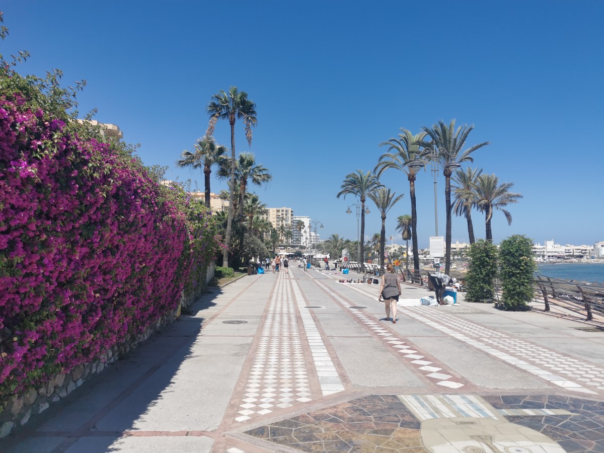 TUI BLUE Riviera - Beach | AccessAble