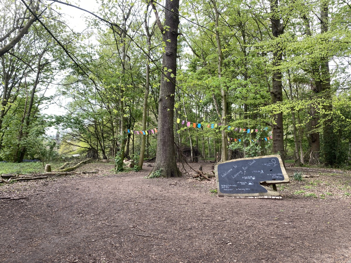 Clumber Park - Leaping Bar Natural Play Area | AccessAble