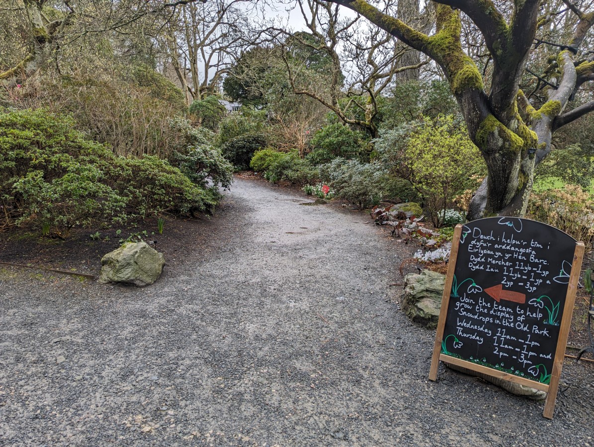 Bodnant Garden - Furnace Meadow | AccessAble