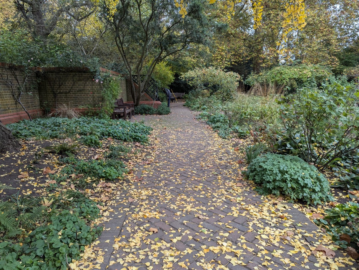 Battersea Park and Bandstand | AccessAble