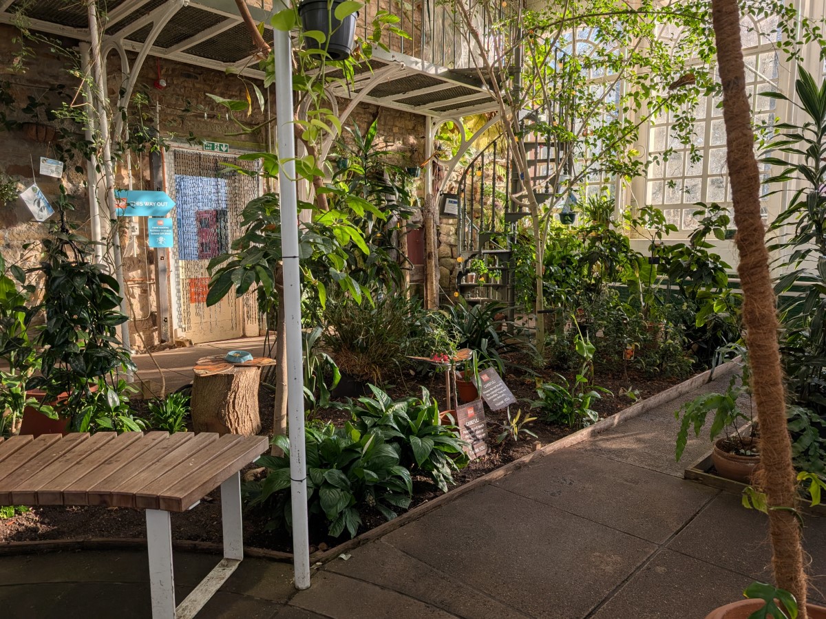 Williamson Park - Butterfly House and Mini Zoo | AccessAble