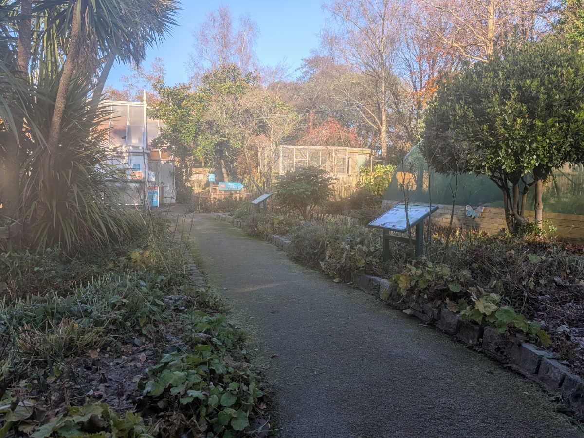 Williamson Park - Butterfly House and Mini Zoo | AccessAble