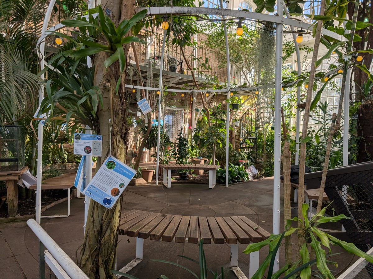 Williamson Park - Butterfly House and Mini Zoo | AccessAble