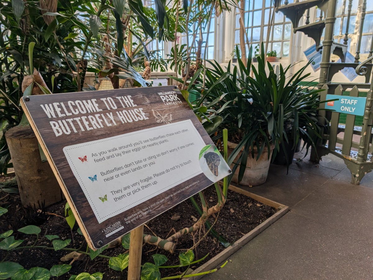 Williamson Park - Butterfly House and Mini Zoo | AccessAble