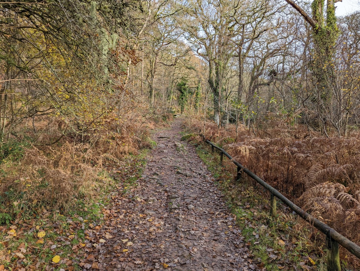 Shaugh Bridge - National Trust | AccessAble