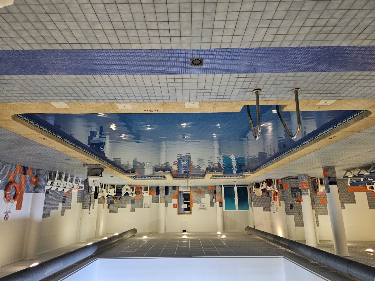 Hotel Flamingo Oasis - Indoor Pool | AccessAble