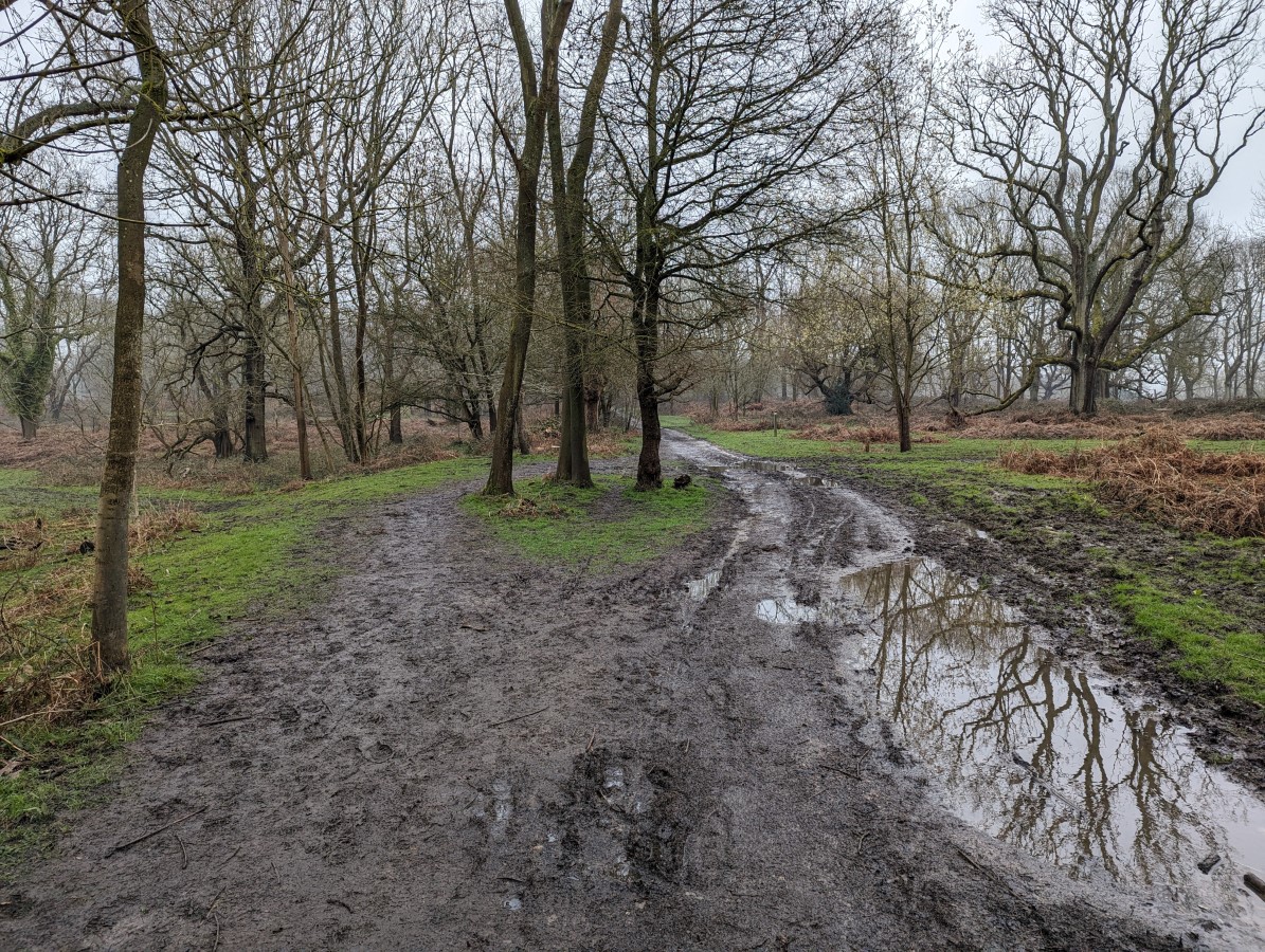 Cobham Wood and Mausoleum - National Trust | AccessAble