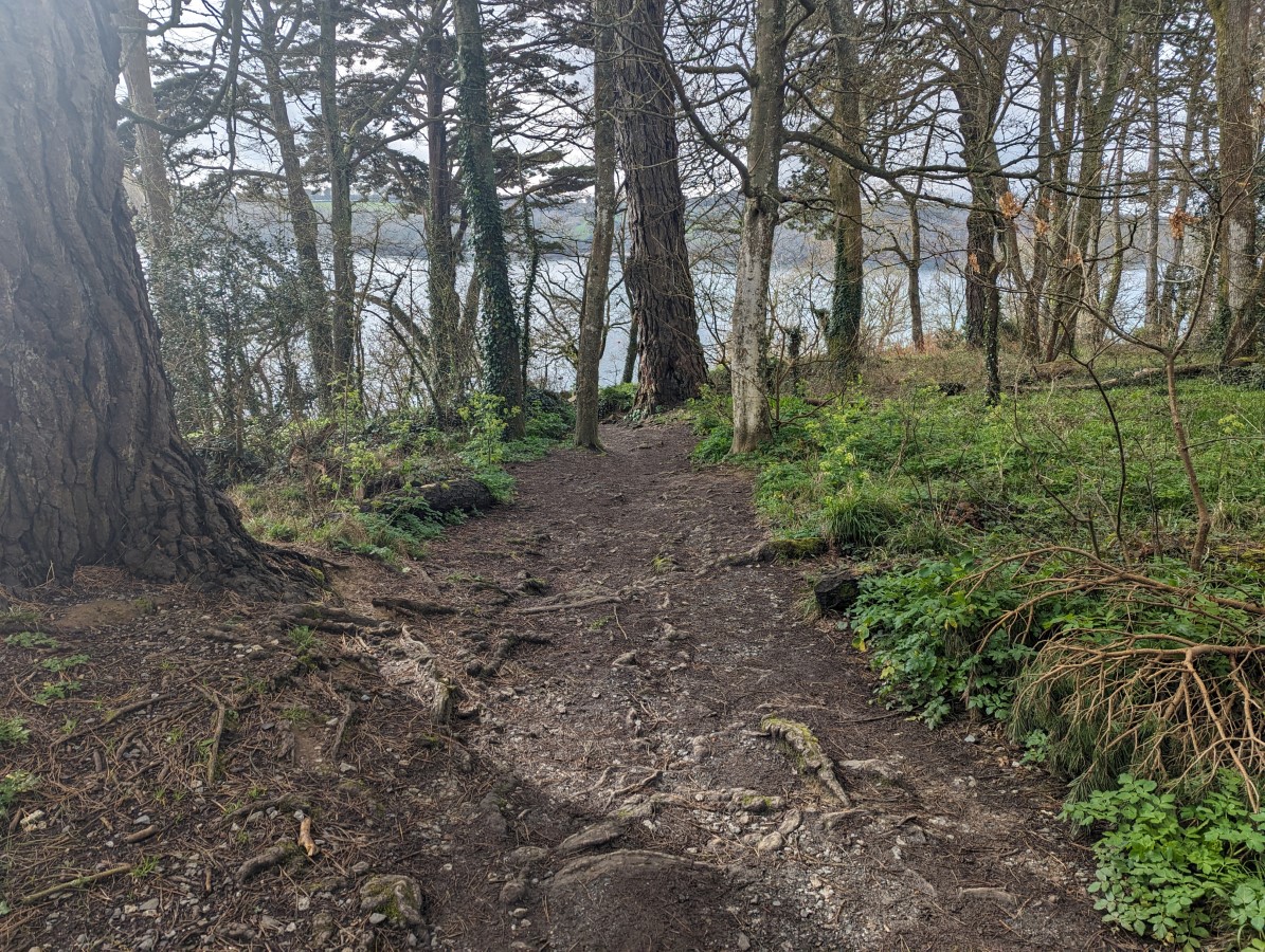 Bosveal - National Trust | AccessAble