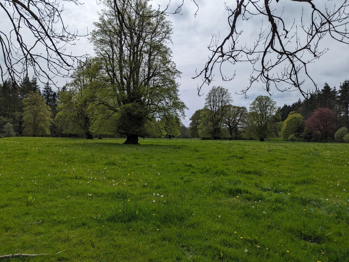 Dolaucothi - Estate Countryside | AccessAble